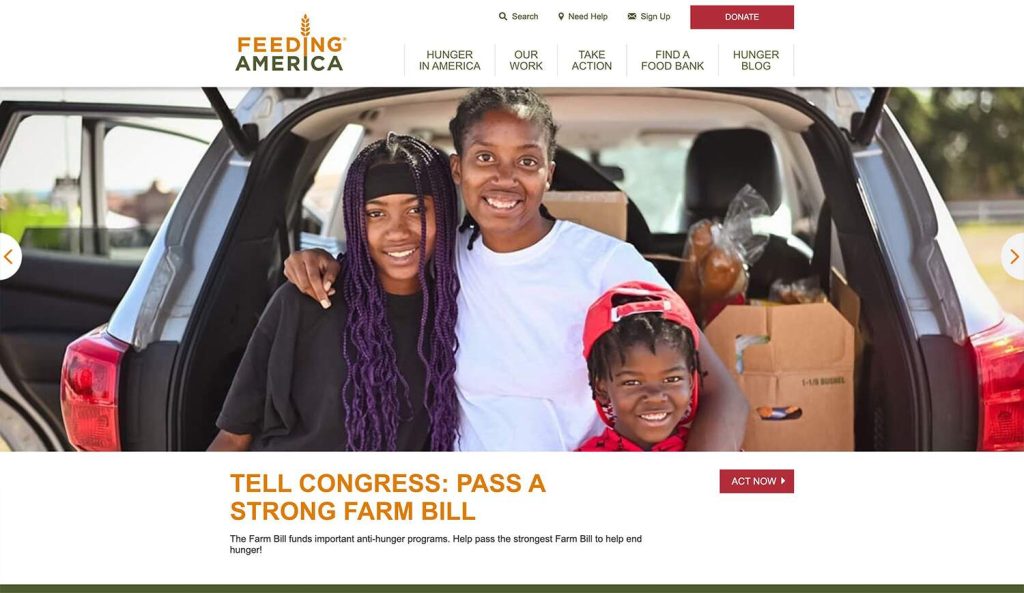 8 Non-Profit Website Design Examples + 10 Tips For Designing Your Own ...