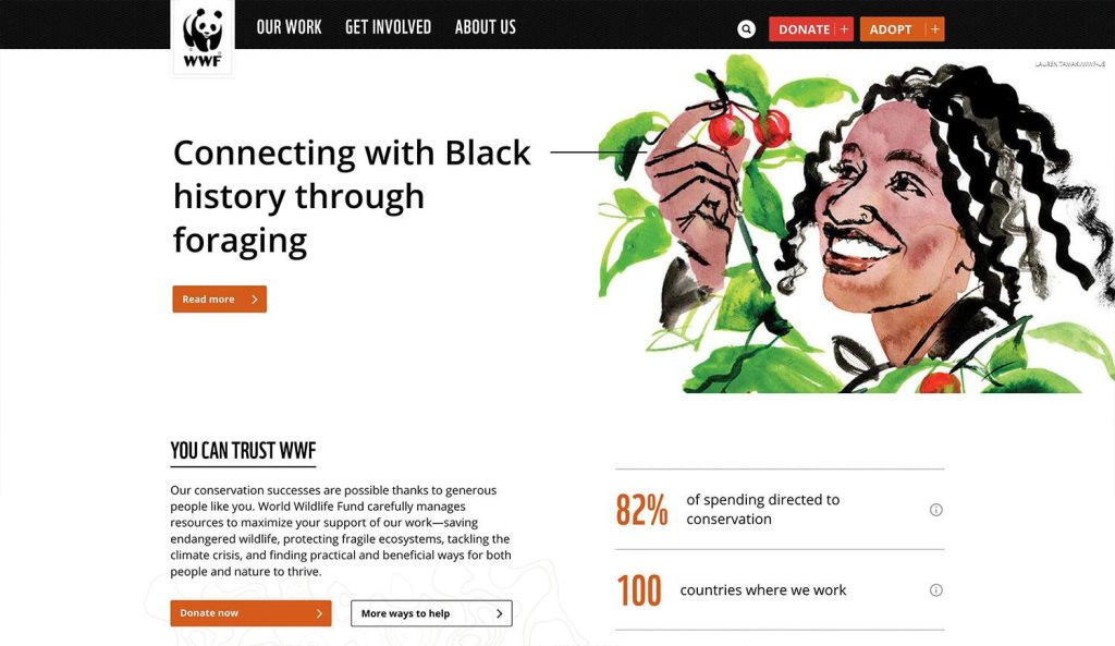 8 Non-Profit Website Design Examples + 10 Tips For Designing Your Own ...